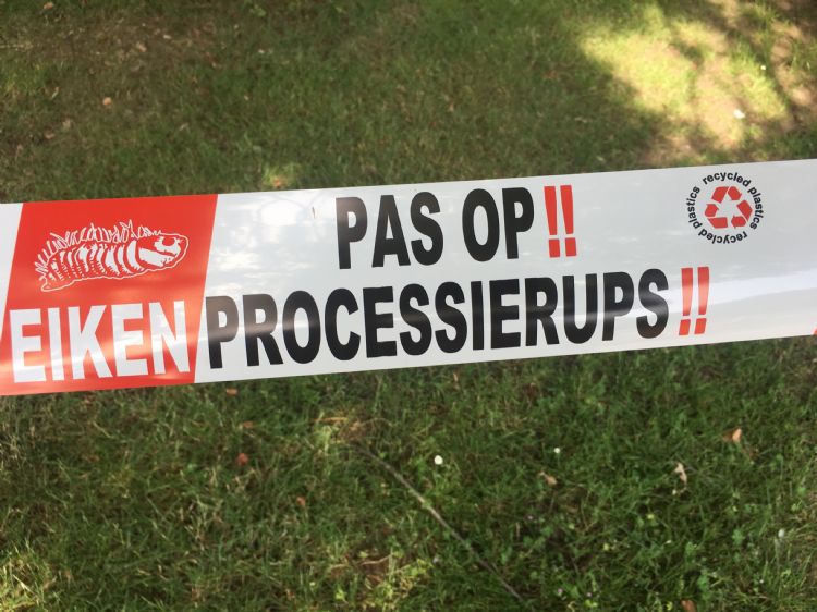 Protocol moet oplossing bieden afvalprobleem eikenprocessierups