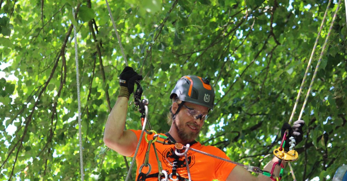 Europese Kampioenen Boomklimmen bekend