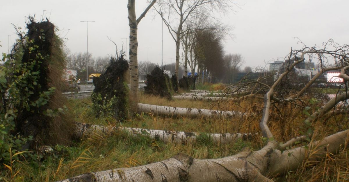 Verdiepingsseminar Visual Tree Assessment (VTA)