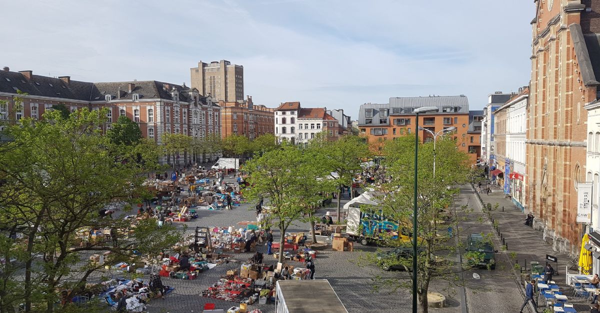 Brussel wil 66 gezonde bomen op markt Vossenplein