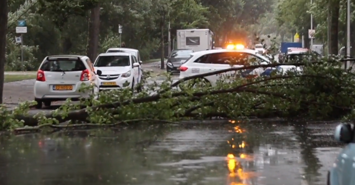 Uitzonderlijke zomerstorm Poly stelt bomen op de proef
