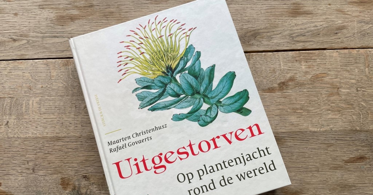 Boekreview: 'Uitgestorven', een soort drie-op-reis, maar dan voor bomen ...